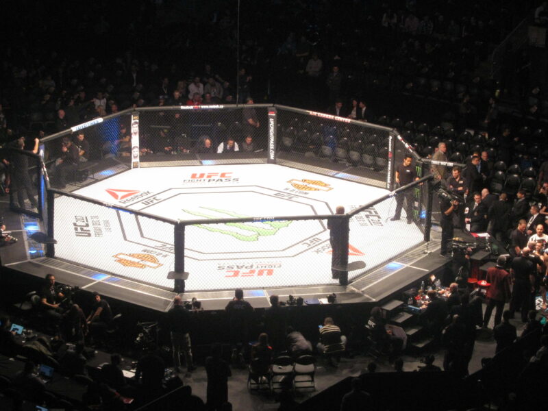 The Founding of the Ultimate Fighting Championship – Martial Arts ...